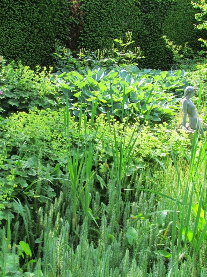 Beplantingsplan en tuinontwerp - Buitengevoel.nu