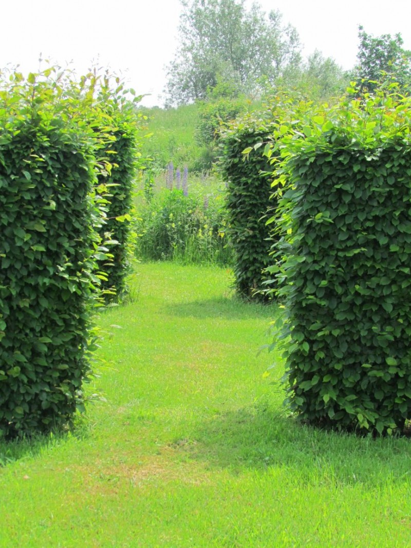 Beplantingsplan en tuinontwerp - Buitengevoel.nu