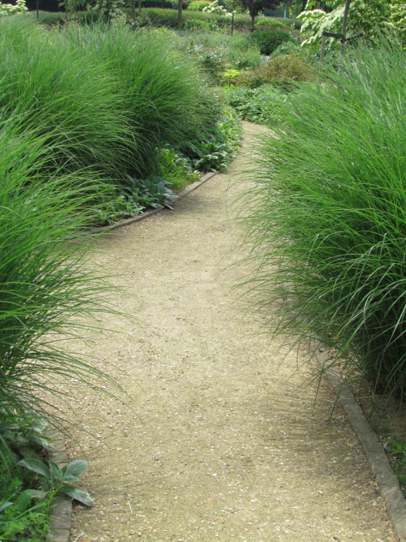 Beplantingsplan en tuinontwerp - Buitengevoel.nu