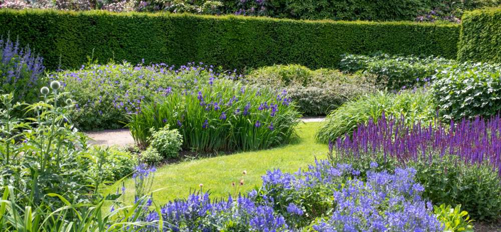 Beplantingsplan en tuinontwerp - Buitengevoel.nu